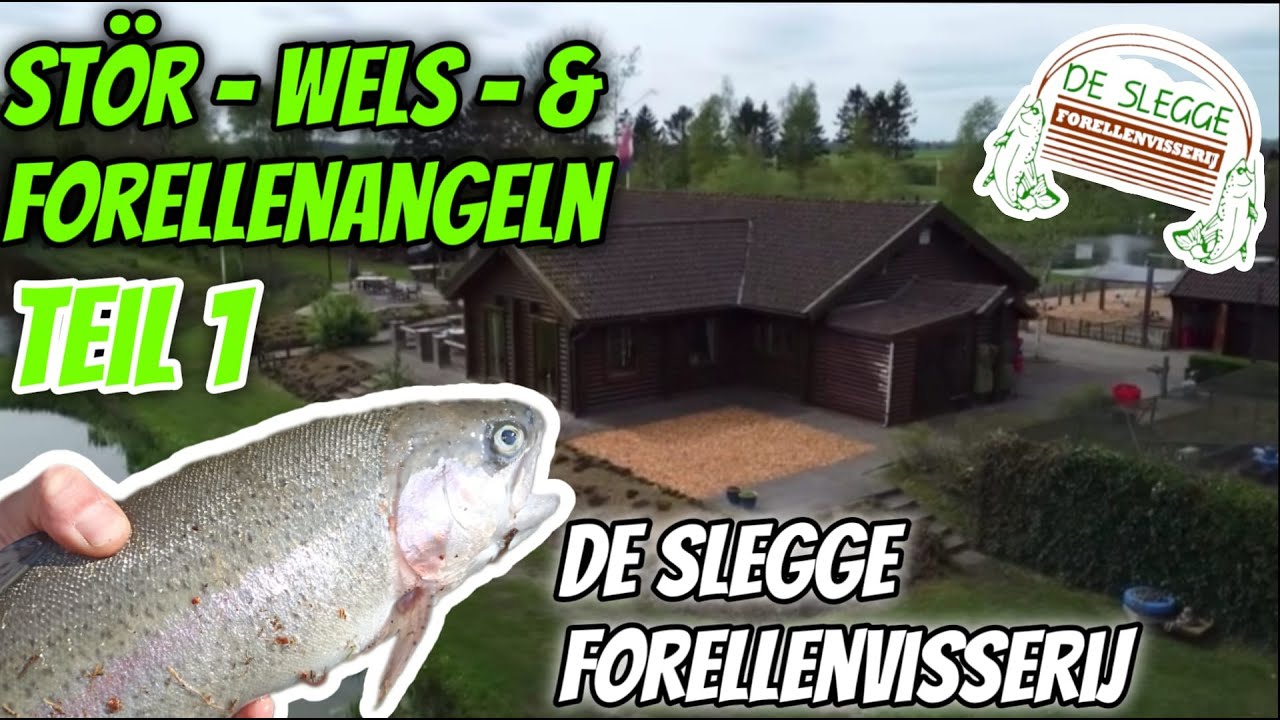 Forellenangeln bei De Slegge Teil 1 + Stör und Welsangeln # ...