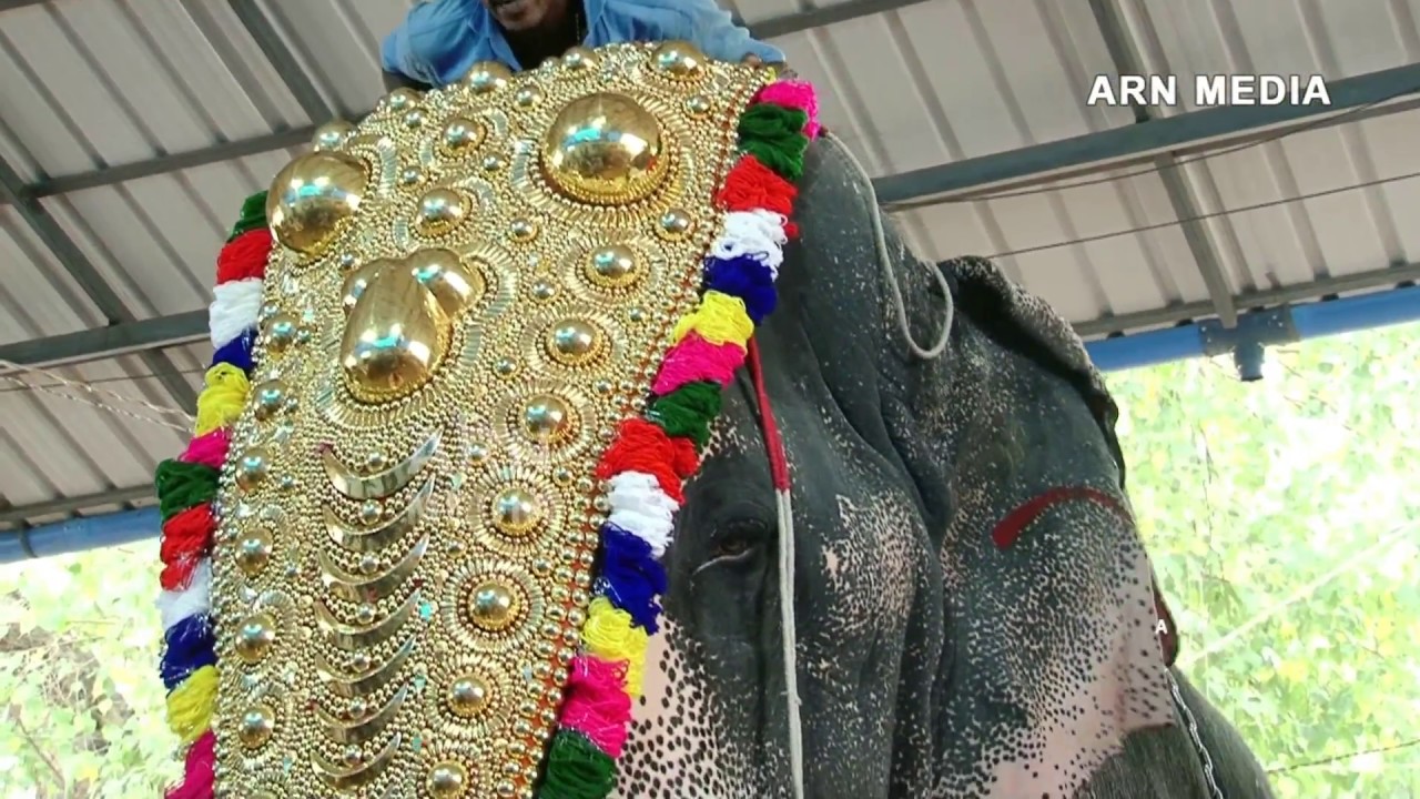 Puthupally Kesavan Kerala Elephant - YouTube