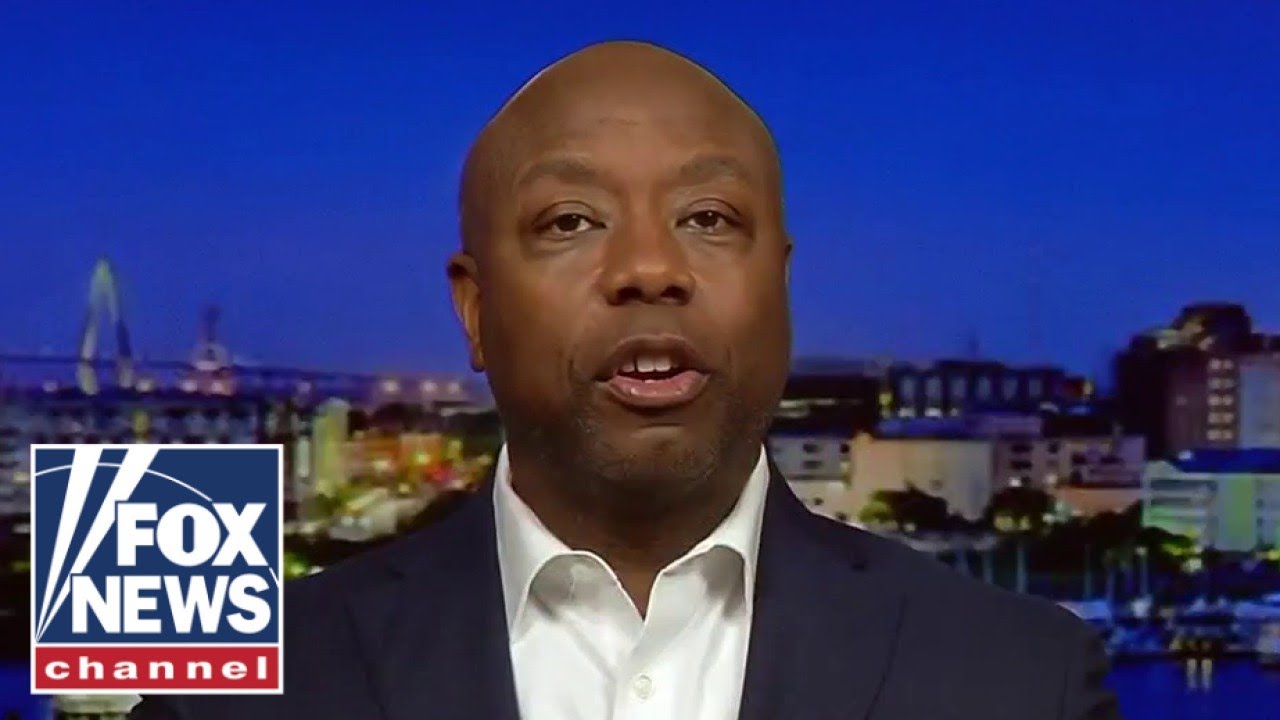 Tim Scott: This is the beauty of America - YouTube