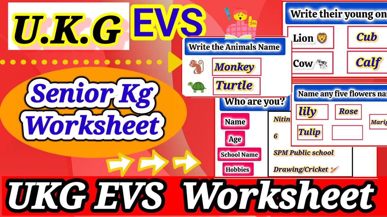 EVS Worksheet For UKG|EVS Worksheet for Ukg class|Ukg EVS Worksheet #nishakaushik88#evs #ukg ...