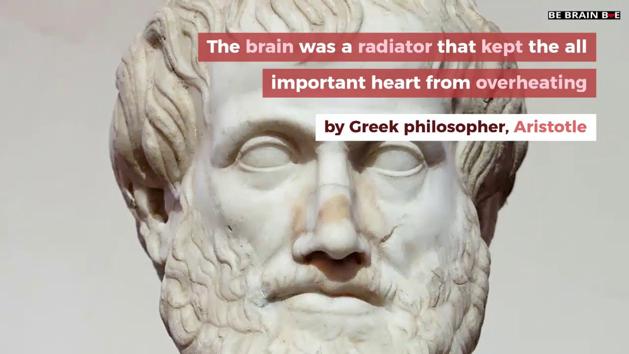 HISTORY OF BRAIN AND NEUROSCIENCE| BE BRAIN BAE - YouTube