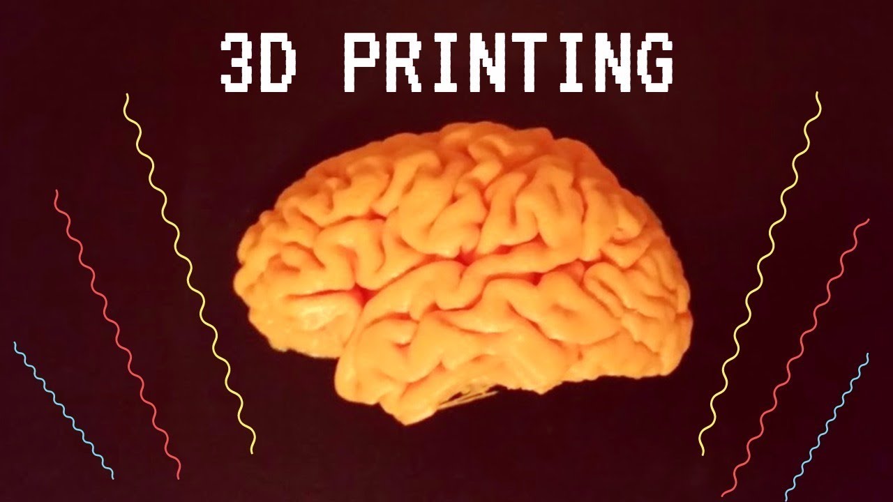 How to 3D Print a Brain - YouTube