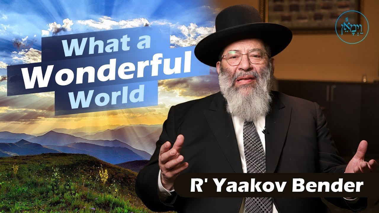 What a Wonderful World - Rabbi Yaakov Bender - YouTube