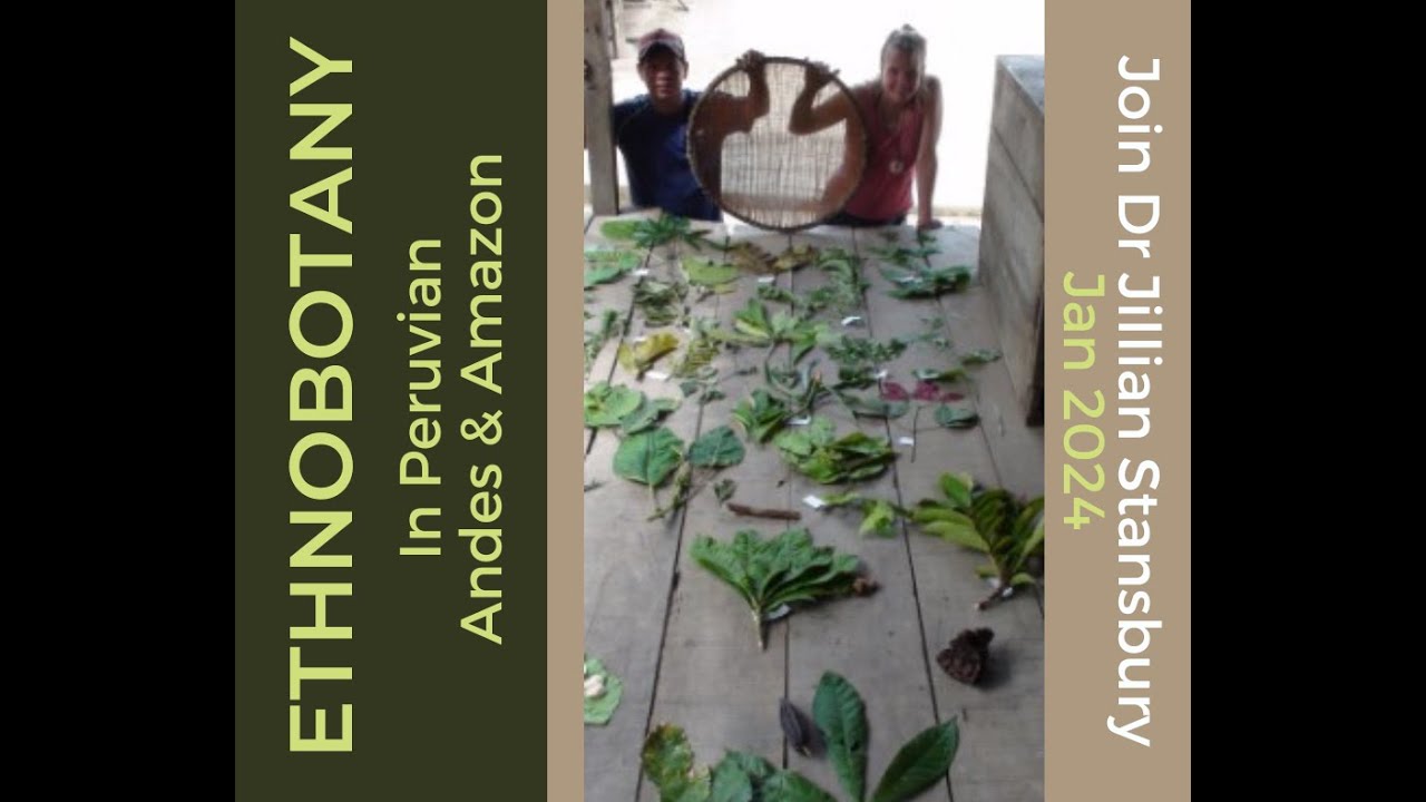 ETHNOBOTANY FIELD COURSE - Meet the Plants of the Andes and Plants of ...