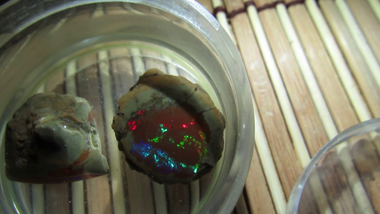 Rockhounding Oregon: Quick Look at This Precious Opal in Thunderegg ...
