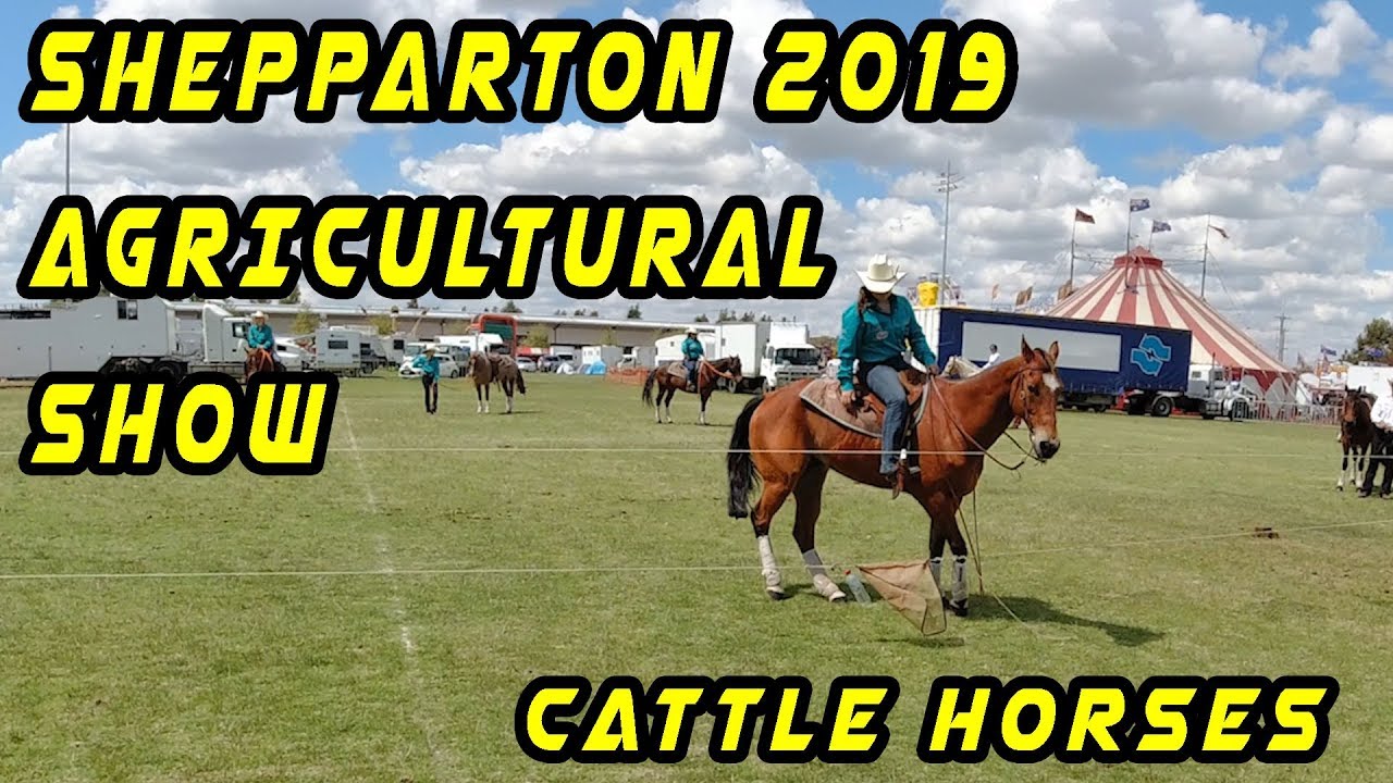 Shepparton 2019 Agricultural Show | Cattle Horses - YouTube