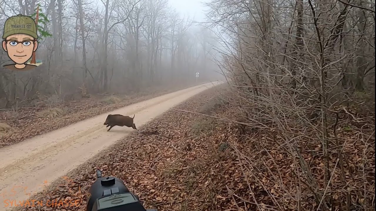 Chasse en Battue - YouTube