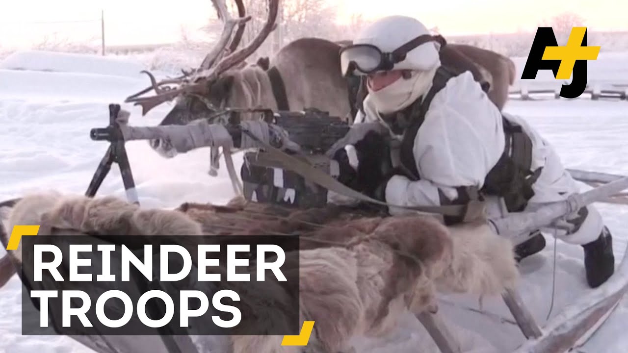 Russian Army Unit Uses Reindeer And Huskies In The Arctic - YouTube