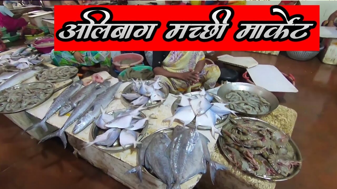अलिबाग मासे बाजार । Alibag Fish Market 🐟 I Fish Wholesale Market In ...
