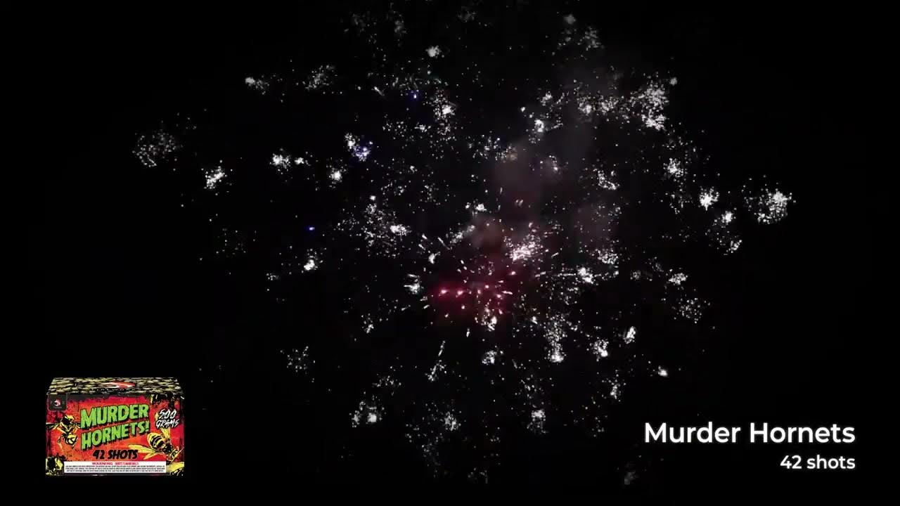 Murder Hornets by Fox Fireworks - YouTube