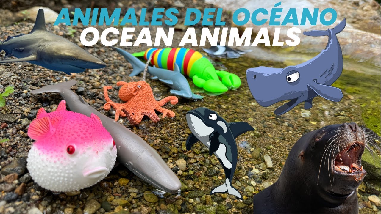 Aprende nombres de ANIMALES DEL OCÉANO| Aprendizaje para niños ...