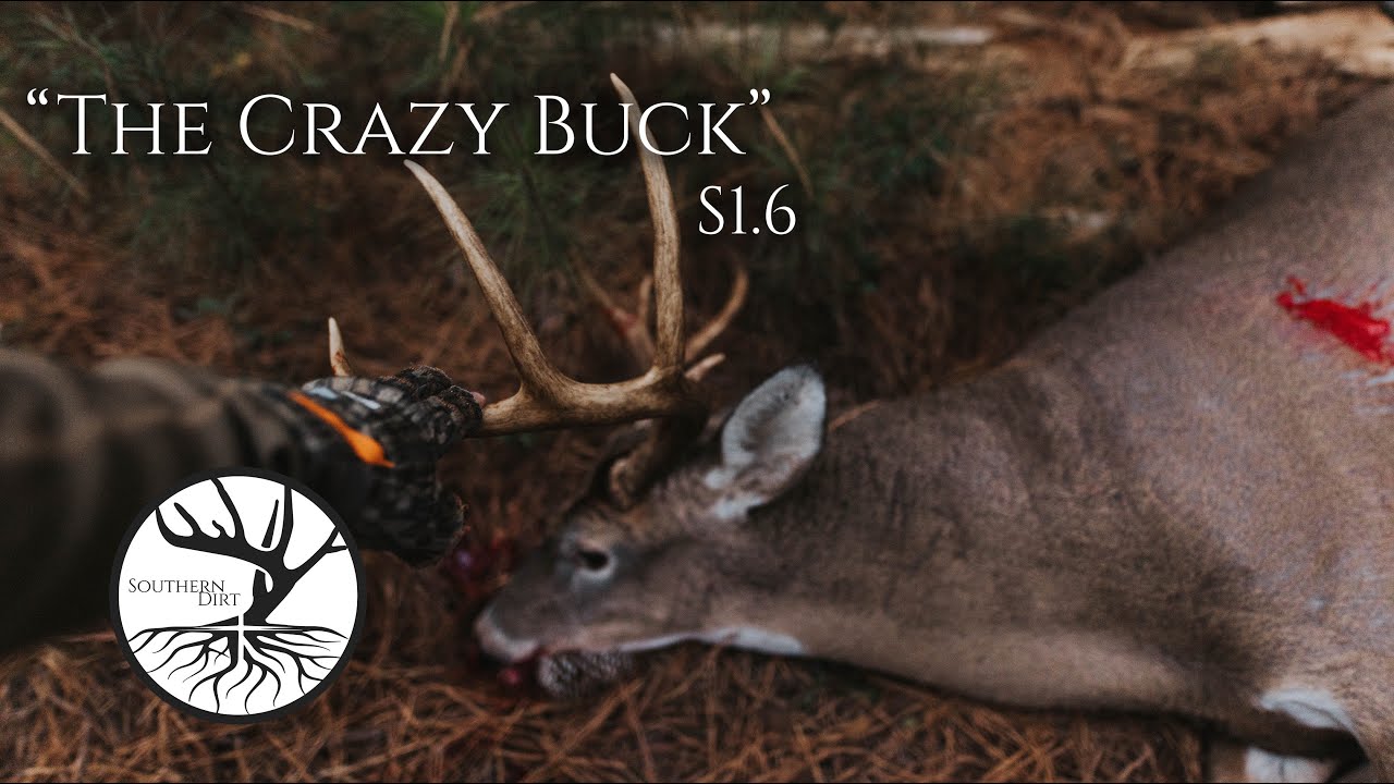 CRAZY LOOKING BUCK GOES DOWN IN GA!! - YouTube