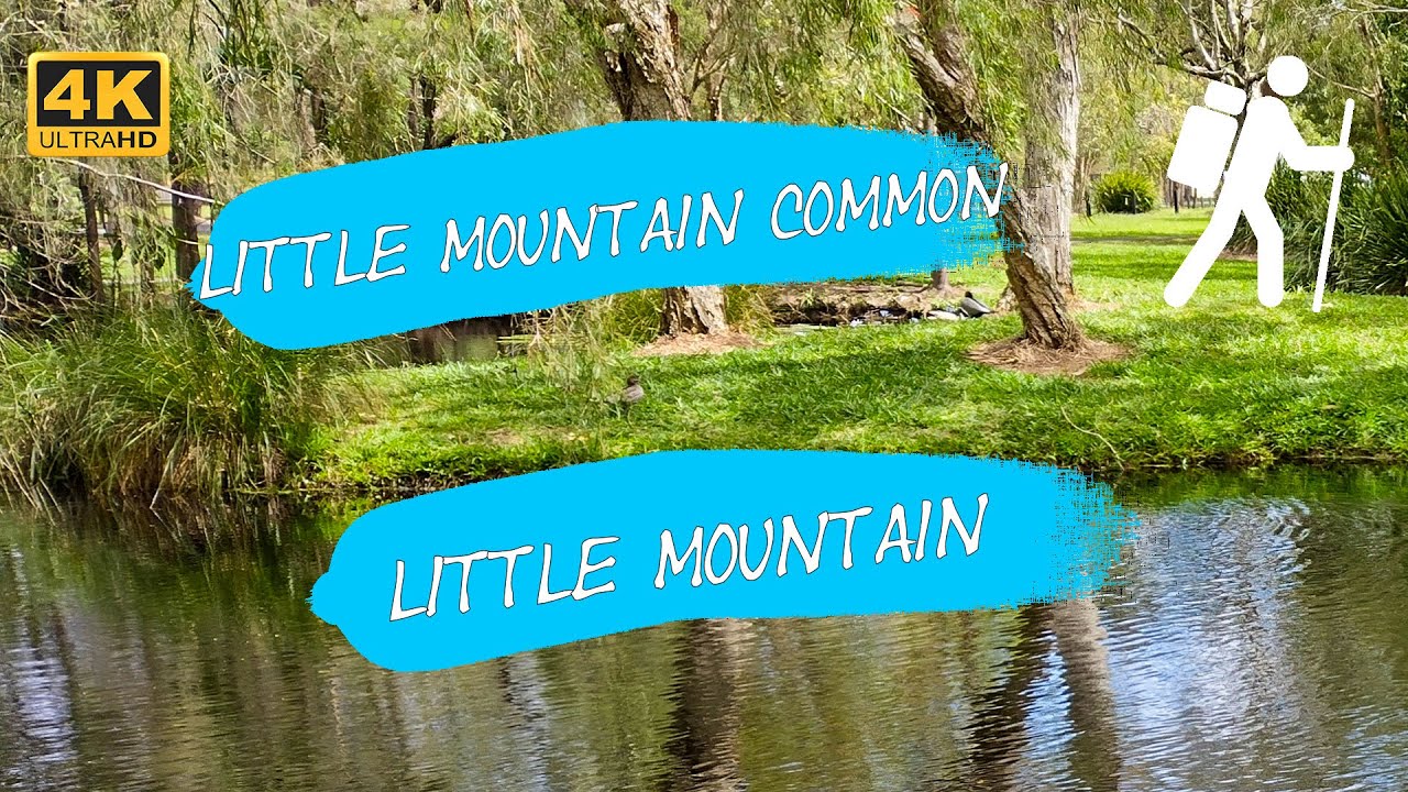 [4K UHD] Discover Little Mountain Common: A Hidden Parkland Gem - YouTube