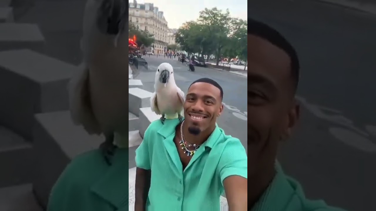 kumalala kumalala kumala savesta - YouTube