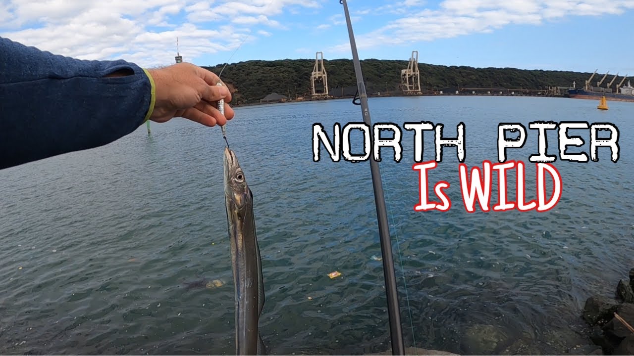 Walla Walla is WILD at Durban North Pier Fishing !! - YouTube
