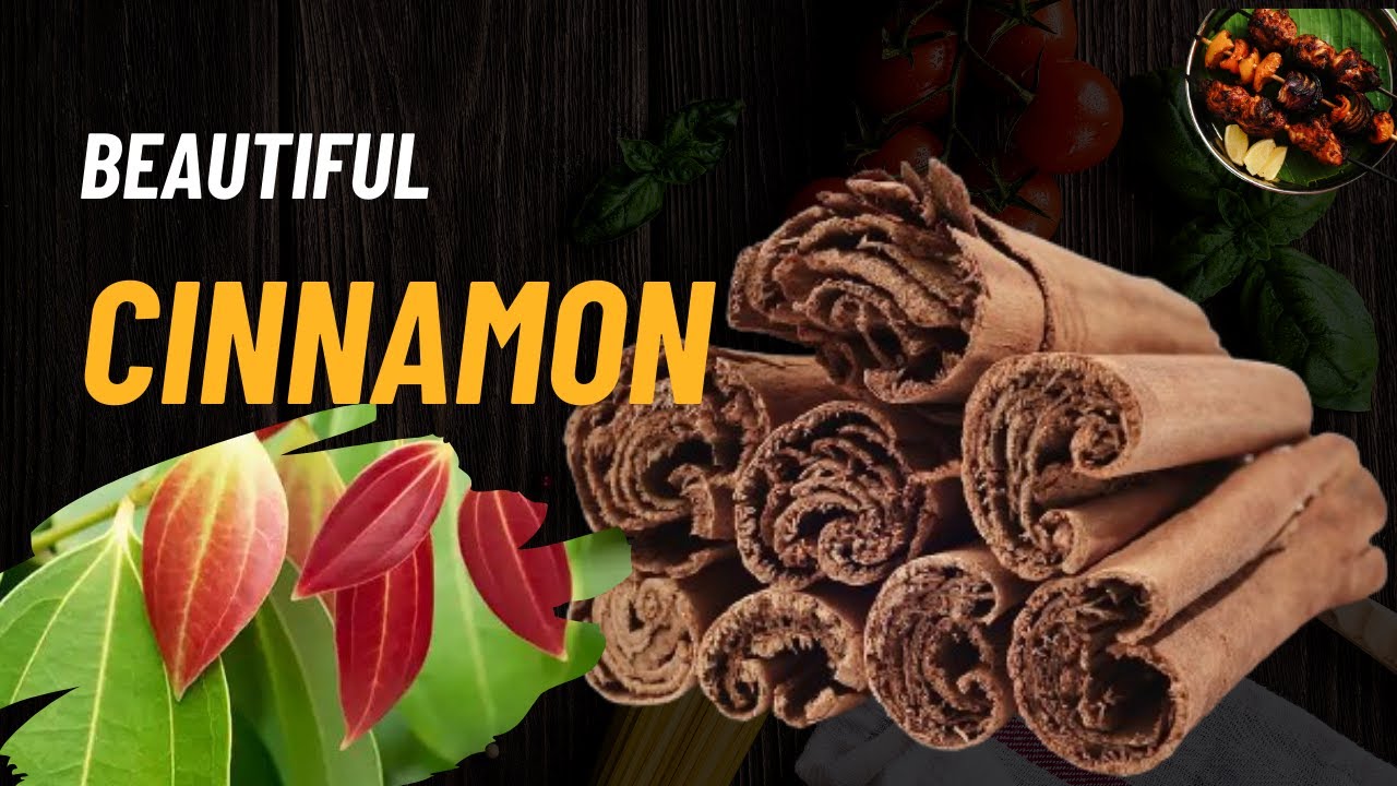 Cinnamon - YouTube
