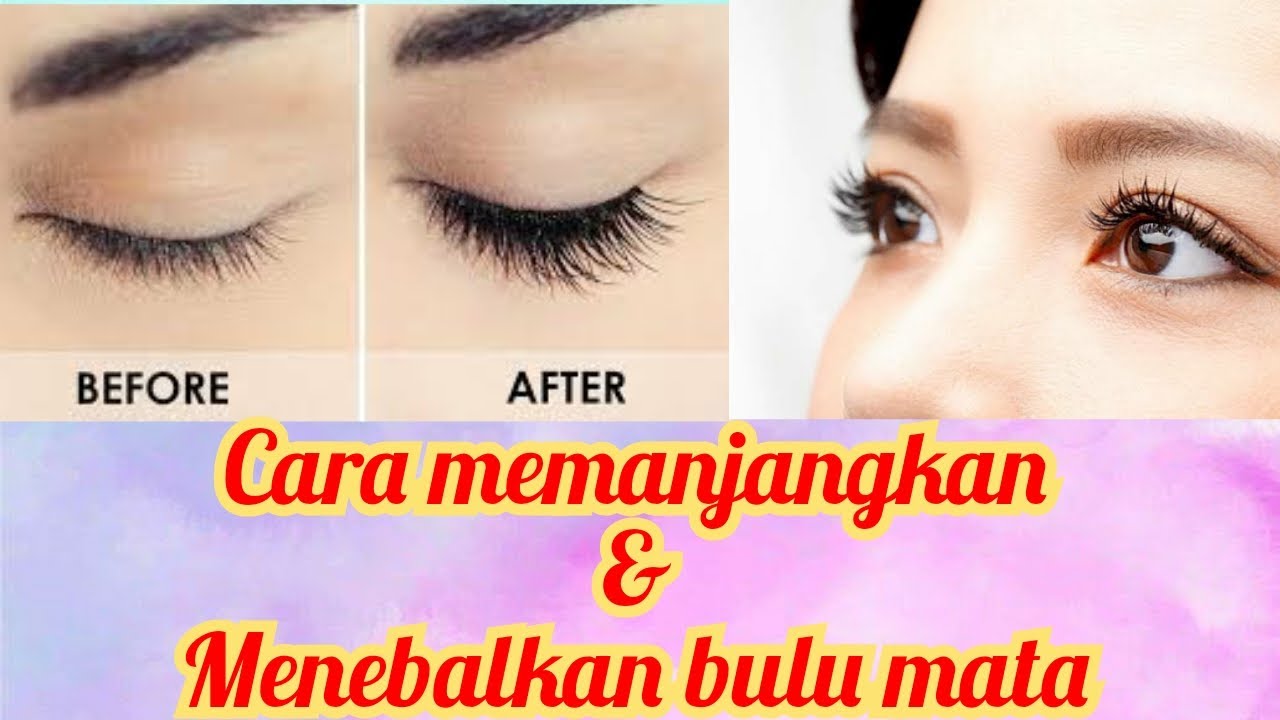 Cara memanjangkan bulu mata dengan alami // Cara melebatkan bulu mata ...
