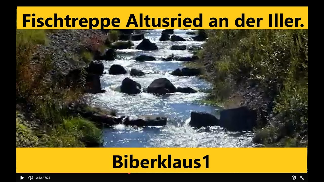 Besuch der Fischtreppe am Wasserkraftwerk Altusried an der Iller. - YouTube