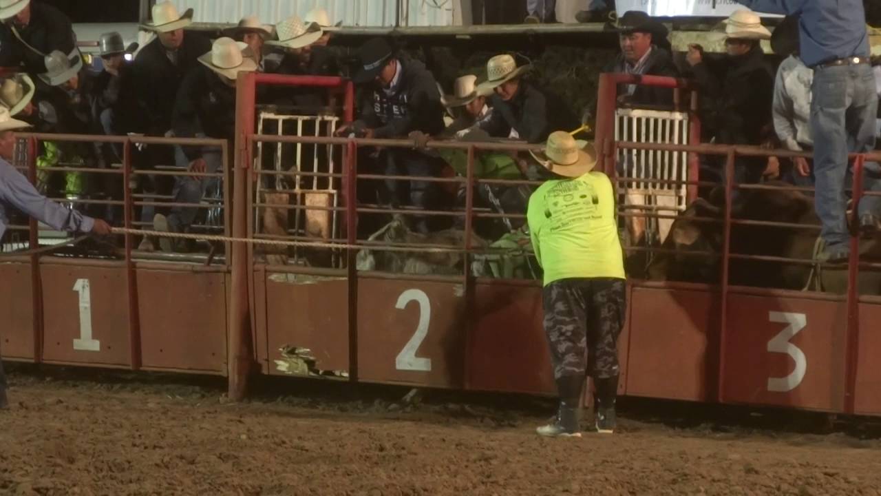 Match the Champions Bull Riding - YouTube