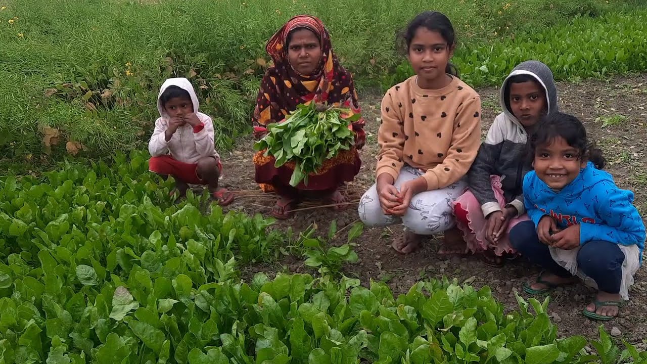 Bata Fish Farm Fresh Spinach Cooking in Village | Village Food Recipe ...