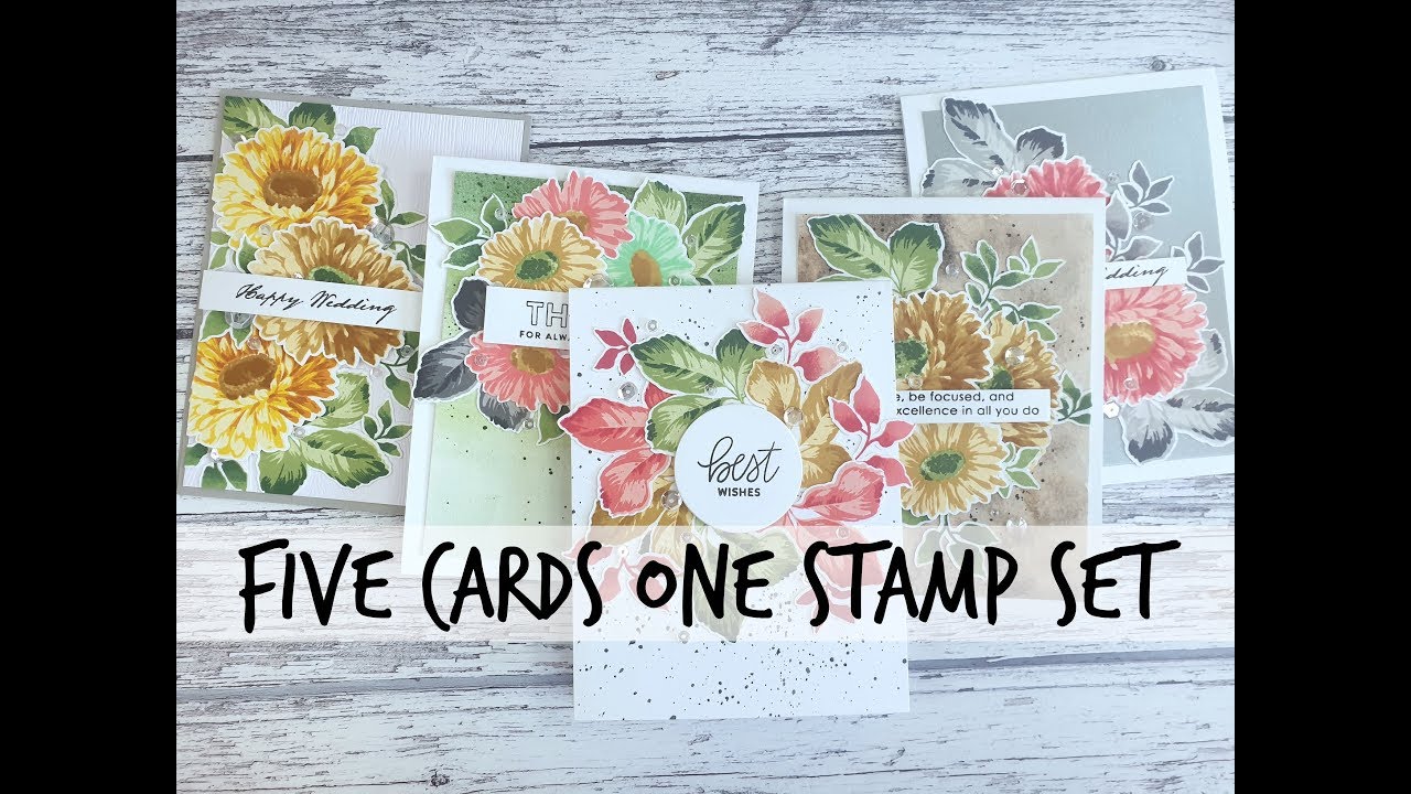 Five cards one stamp set - YouTube