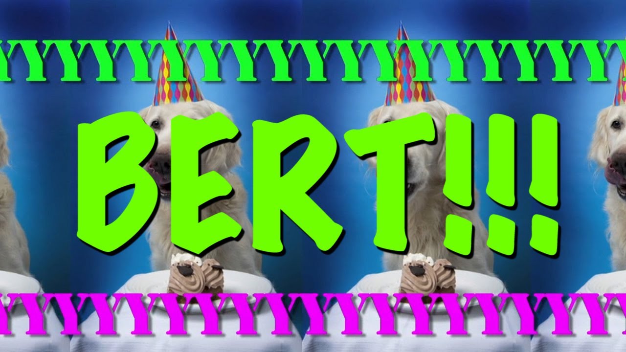 HAPPY BIRTHDAY BERT! - EPIC Happy Birthday Song - YouTube