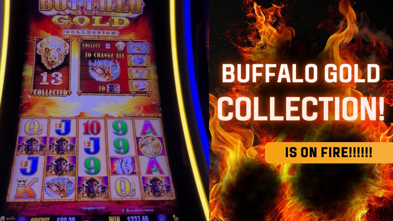Buffalo Gold Collection slot with 43 free spins! BIG WIN! - YouTube