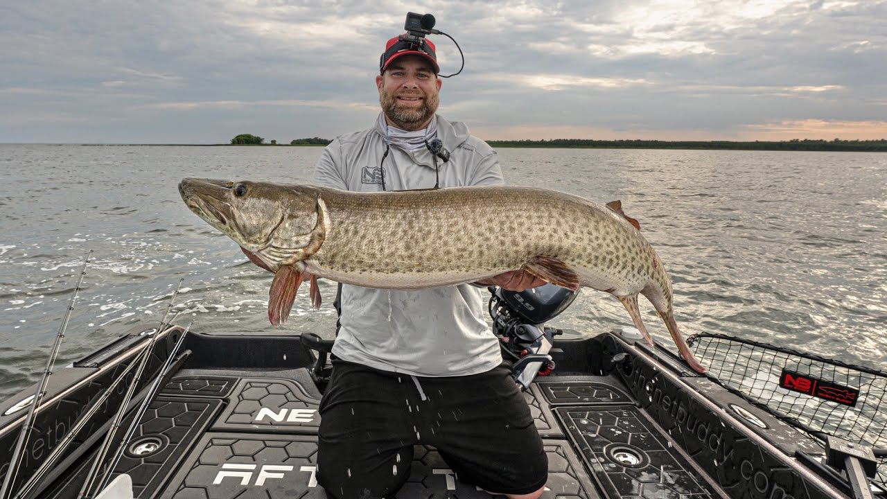 Becoming a Musky Angler: First 50 inch Musky - YouTube
