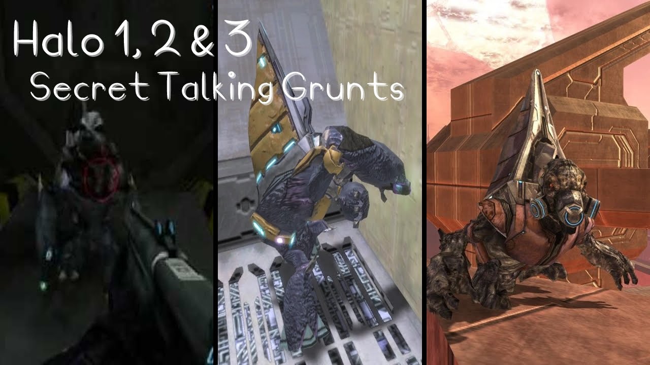 Halo 1, 2 & 3 All Secret Grunts (HD) - YouTube