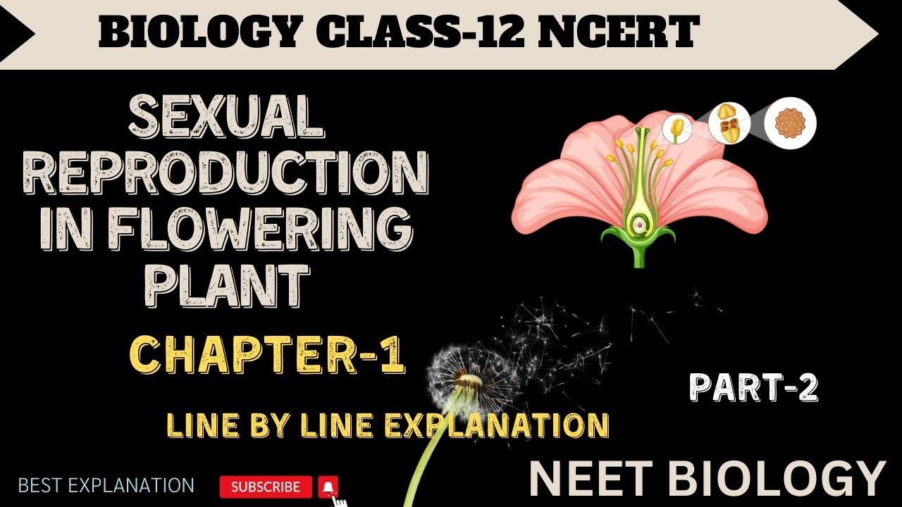 Class 12 Biology |Sexual Reproduction in Flowering Plants | Pollination ...