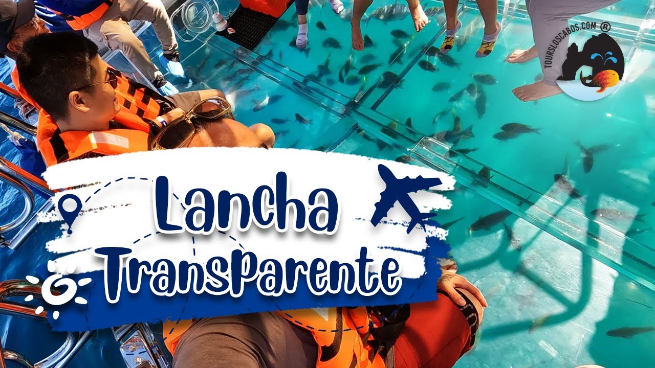 Lancha Transparente en Los Cabos - Tours Los Cabos - YouTube