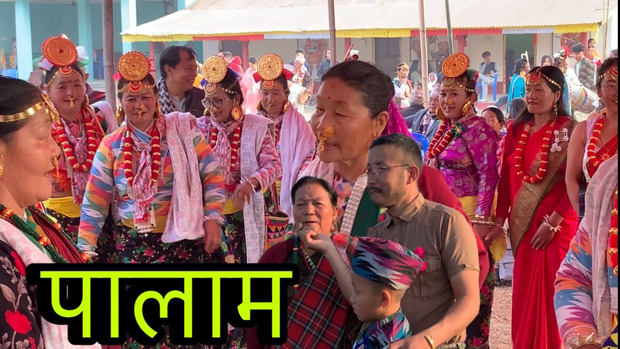 लिम्बु पालाम New Limbu organic palam song limbu cultural palam - YouTube