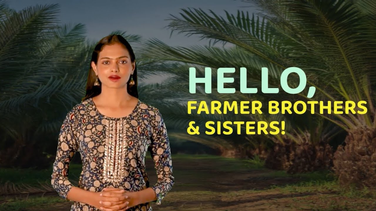 Rivulis Drip Irrigation for Oil Palm || English || AI Series || Rivulis ...