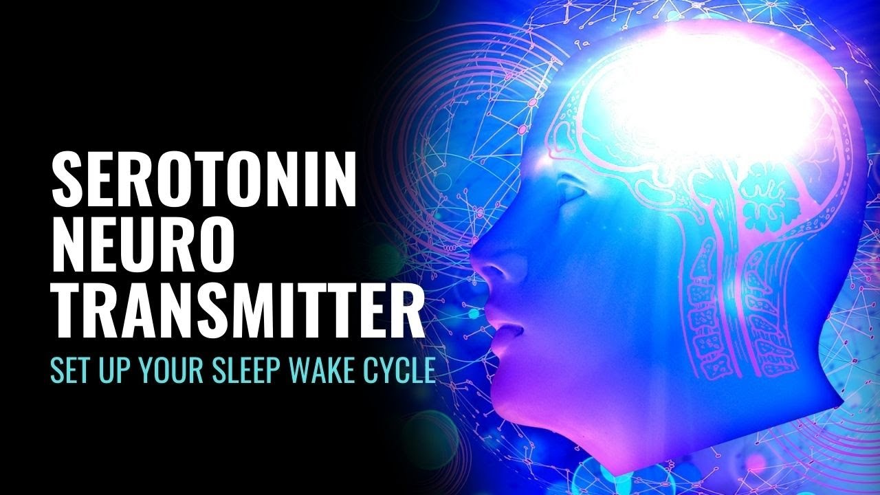 Serotonin Neurotransmitter | Improve Your Circadian Rhythm | Set Up ...