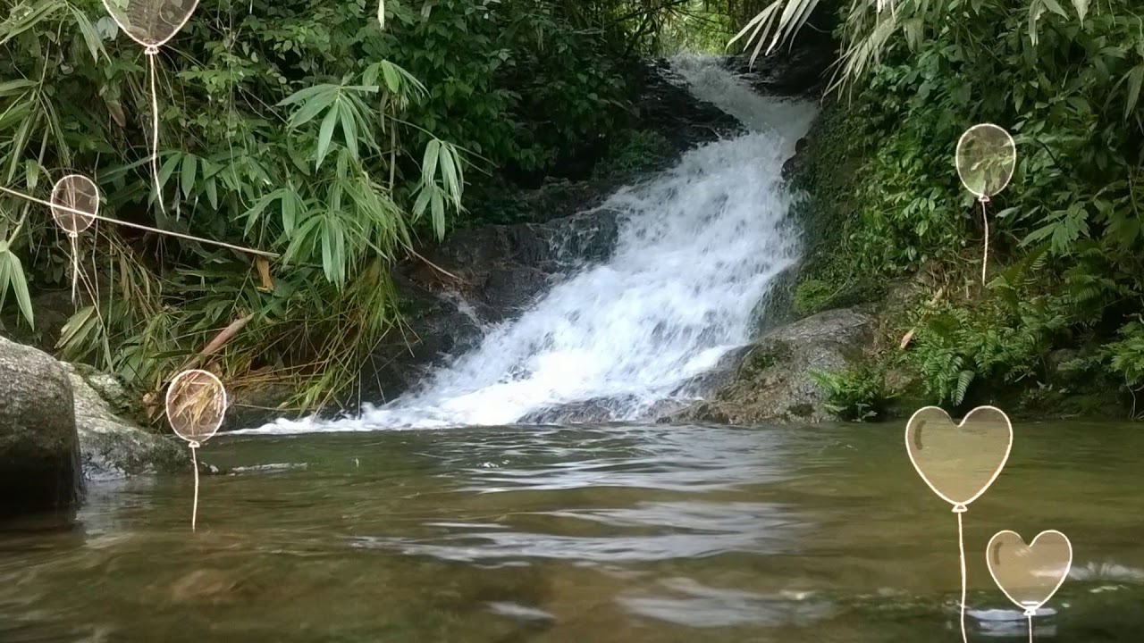 Mankulam Tourism Farmhouse Tents +916282904055 Anakulam 33Waterfalls ...
