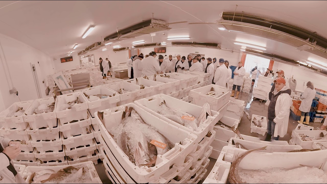 360/VR Video - Brixham Fish Market at England's Seafood Coast - YouTube