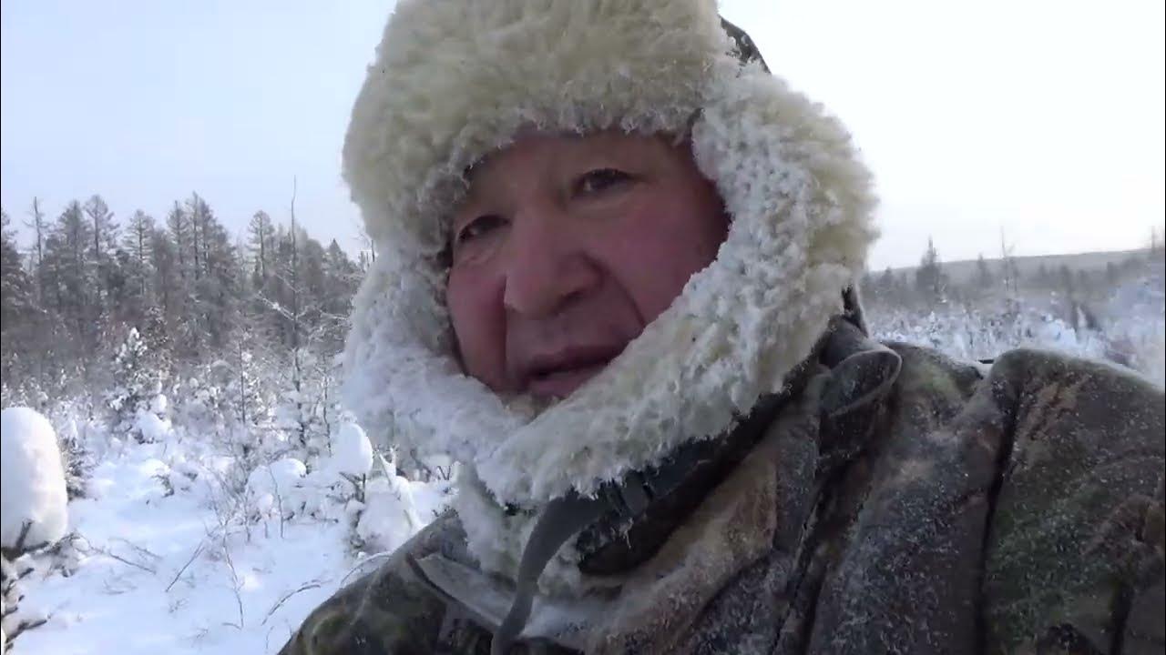 Как, я ставлю петли на волка. - YouTube