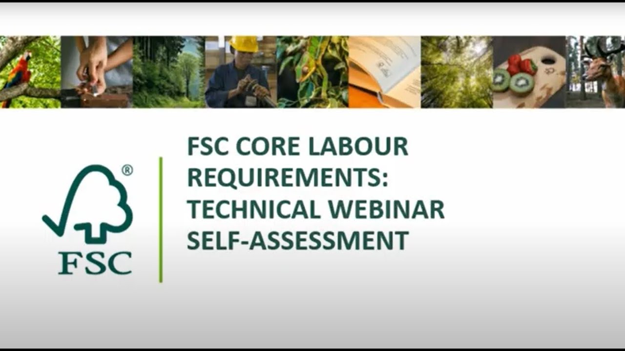 FSC Core Labour Requirements Self Assessment Webinar - YouTube