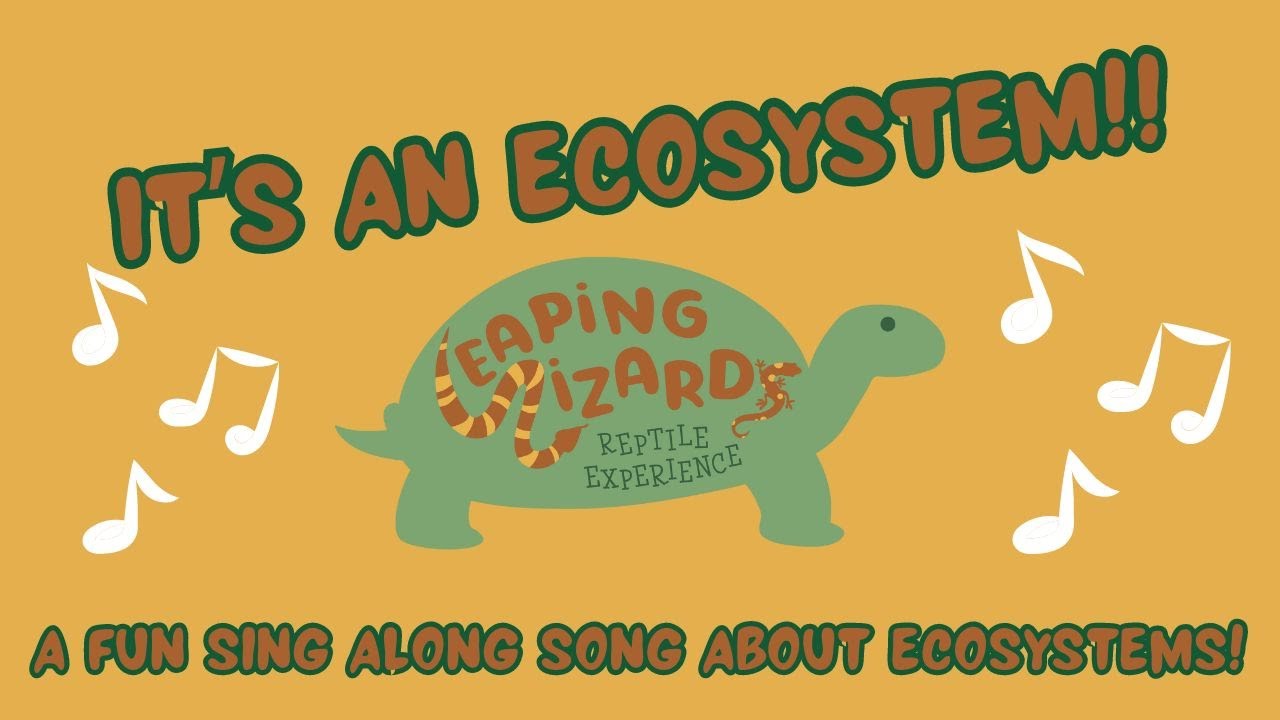 It's an Ecosystem song for kids! What is an ecosystem!? - YouTube