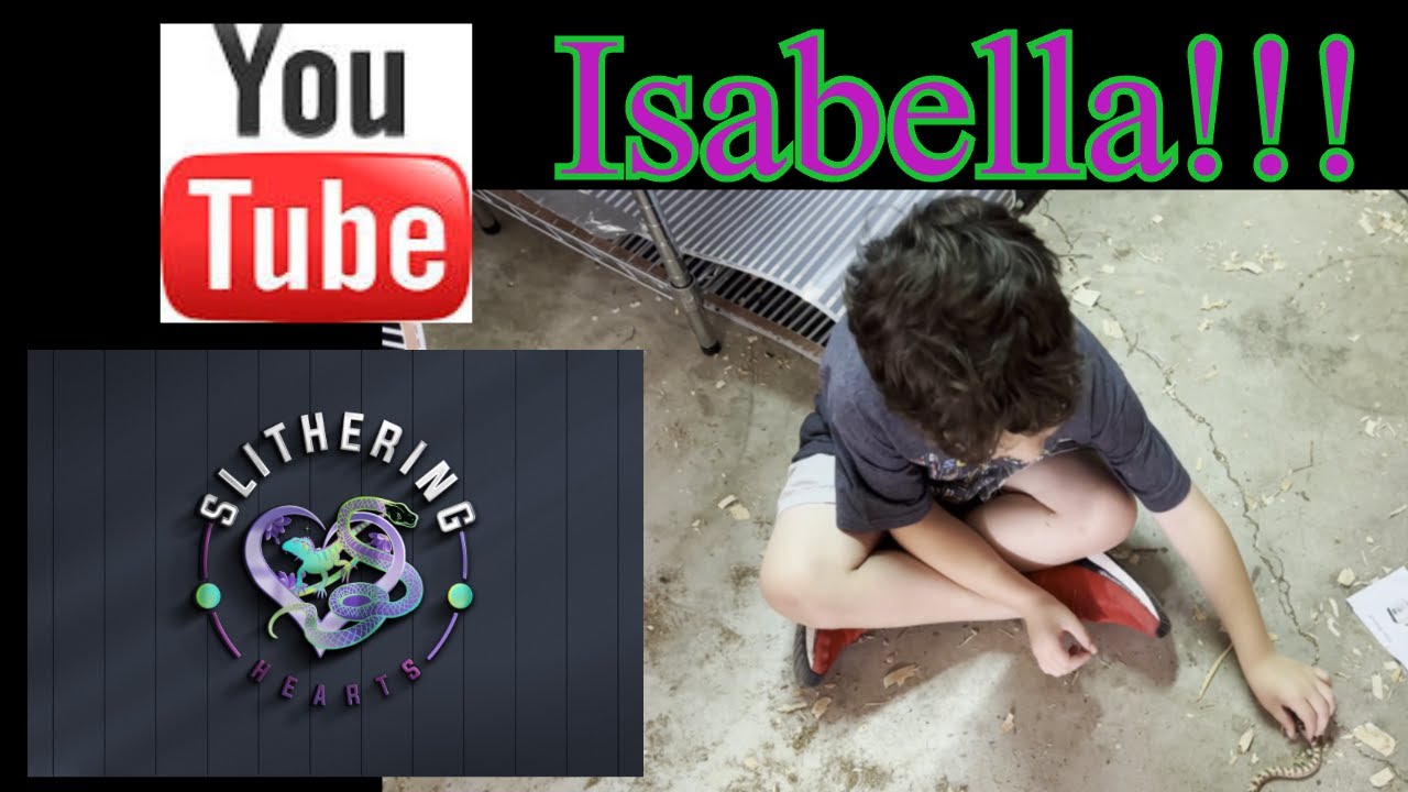 Unboxing Isabella - YouTube