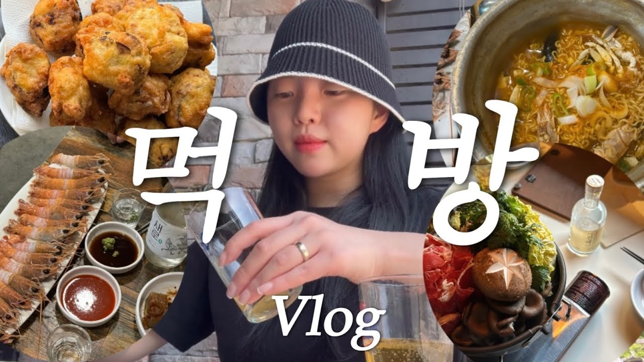 Vlog 맛집 곁들인 알콜트립 🍺🍷🍻혼술 먹방브이로그쟁반짜장양꼬치가지튀김탕수육오징어순대딱새우회서촌 아트만서촌 동해남부선김치우동삼미양꼬치갑오징어무침