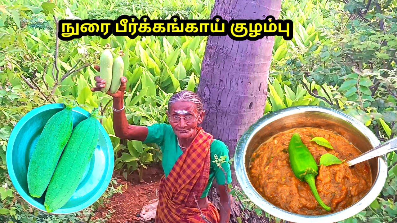 ஆயா செஞ்ச நுரை பீர்க்கங்காய் குழம்பு l Nurai peerkankai kulambu l ...