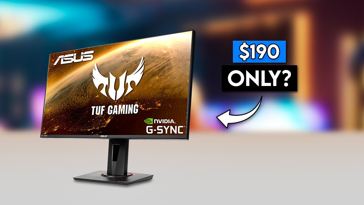 7 Best Asus Gaming Monitor for Every Budget - YouTube