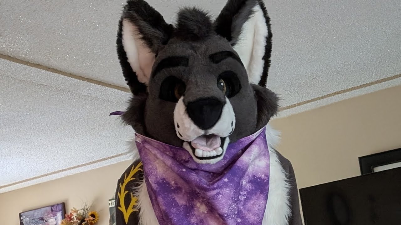 Fursuit box opening - YouTube