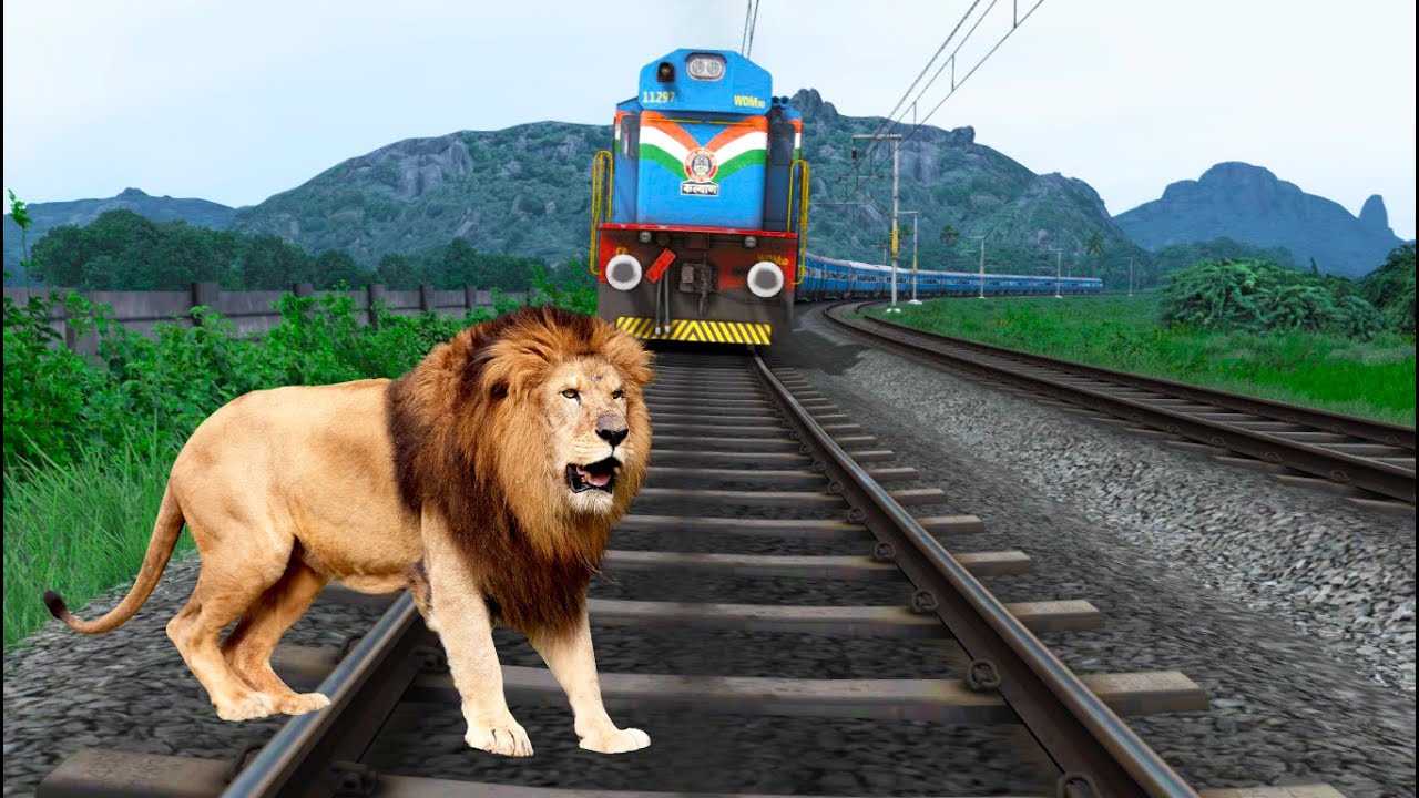 Angry Lion at the Track and Attacking on Train AND MAN STops The Train ...