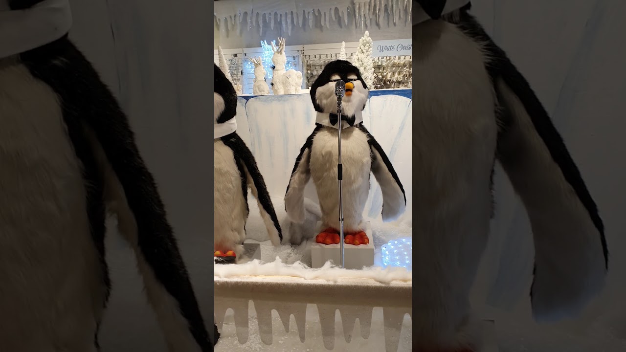 singing penguins - YouTube