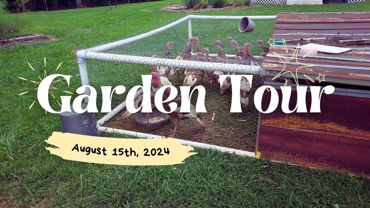 Mid-August Garden Tour: Come Check Out Our Hot Mess of a Garden ...