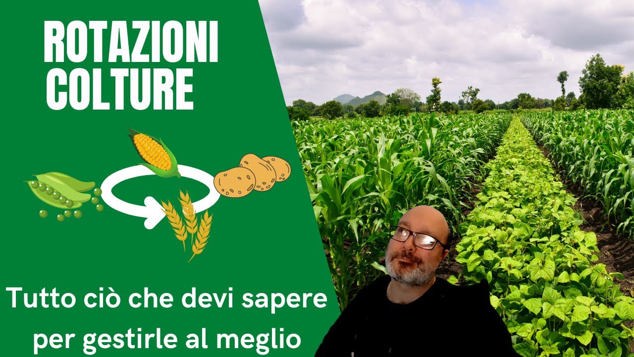 Rotazioni colture: progetta in modo facile le tue rotazioni colturali ...