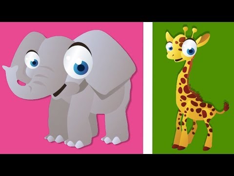 Orman Hayvanlarının Yavrularını Tanıyalım - Çocuklar İçin Hayvanlar