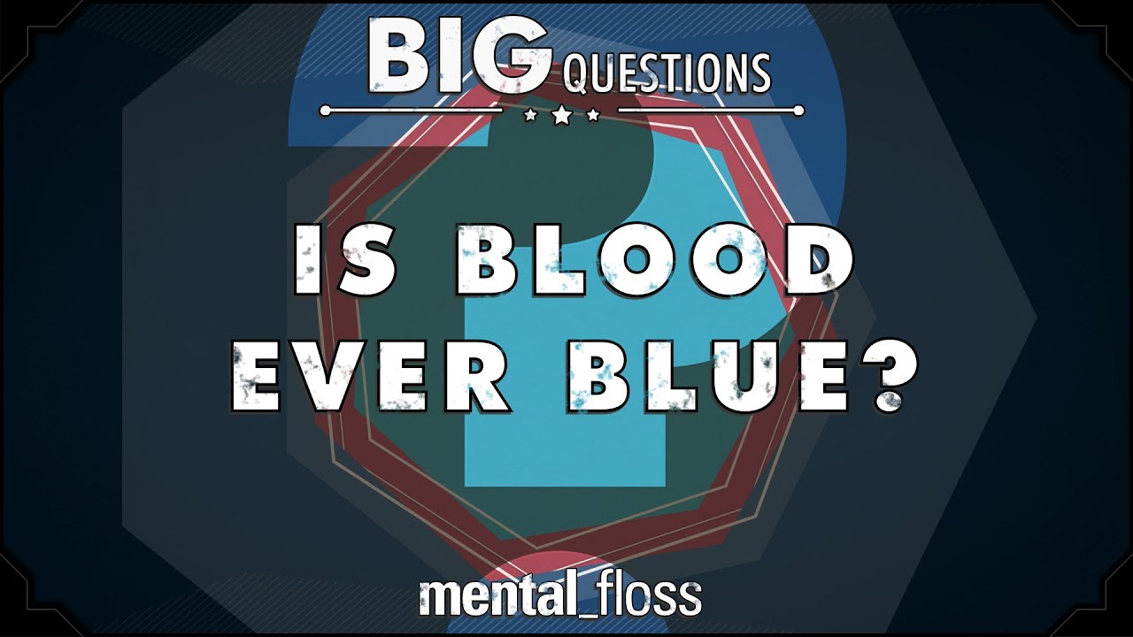 Is blood ever blue? - Big Questions (Ep. 17) | Mental Floss - YouTube